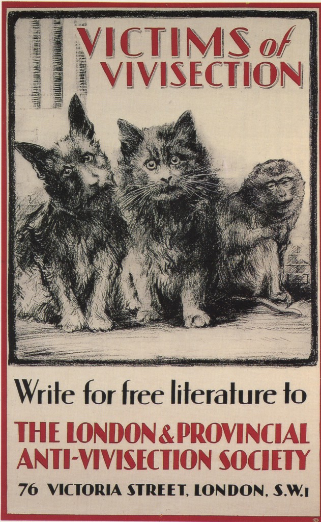 Anti-Vivisection Movement Memorabilia » Grumpy Vegan